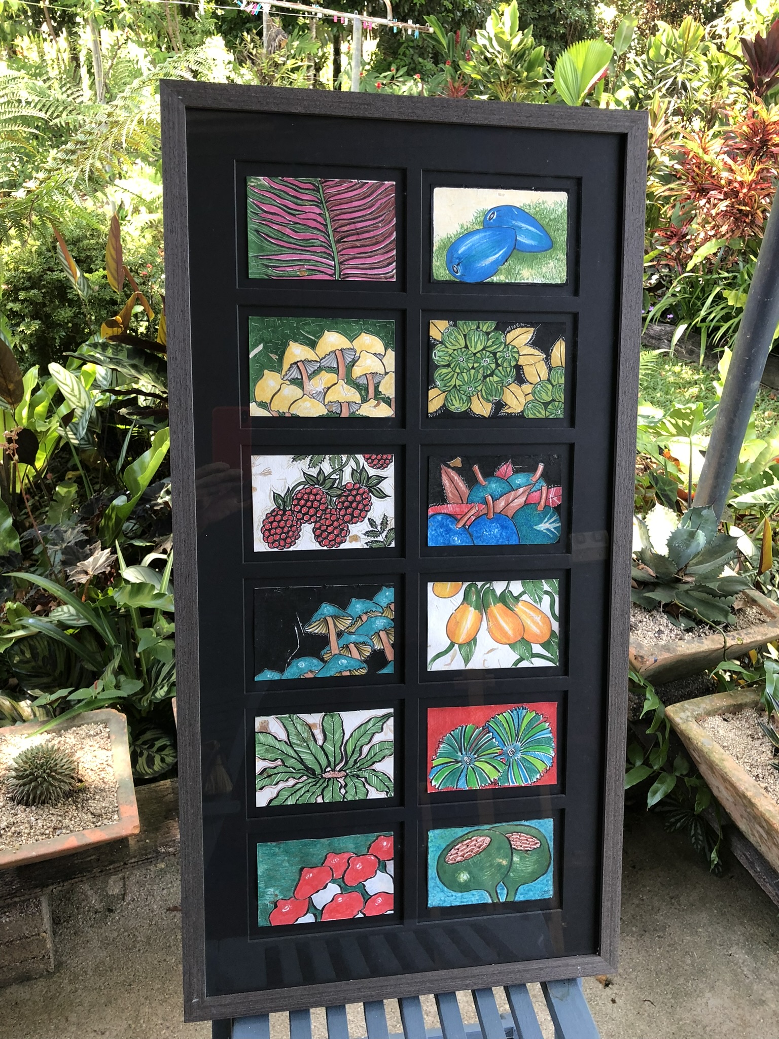 Rainforest Mix - Susanna Job