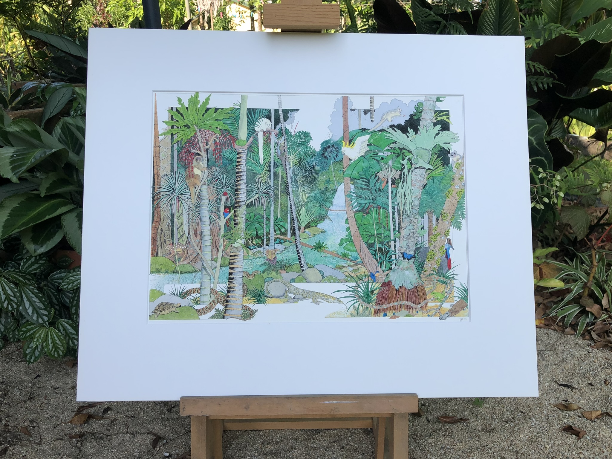 Tully River - Susanna Job